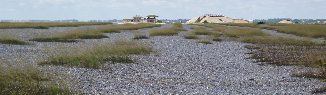 AWRE Phase II – IRGON